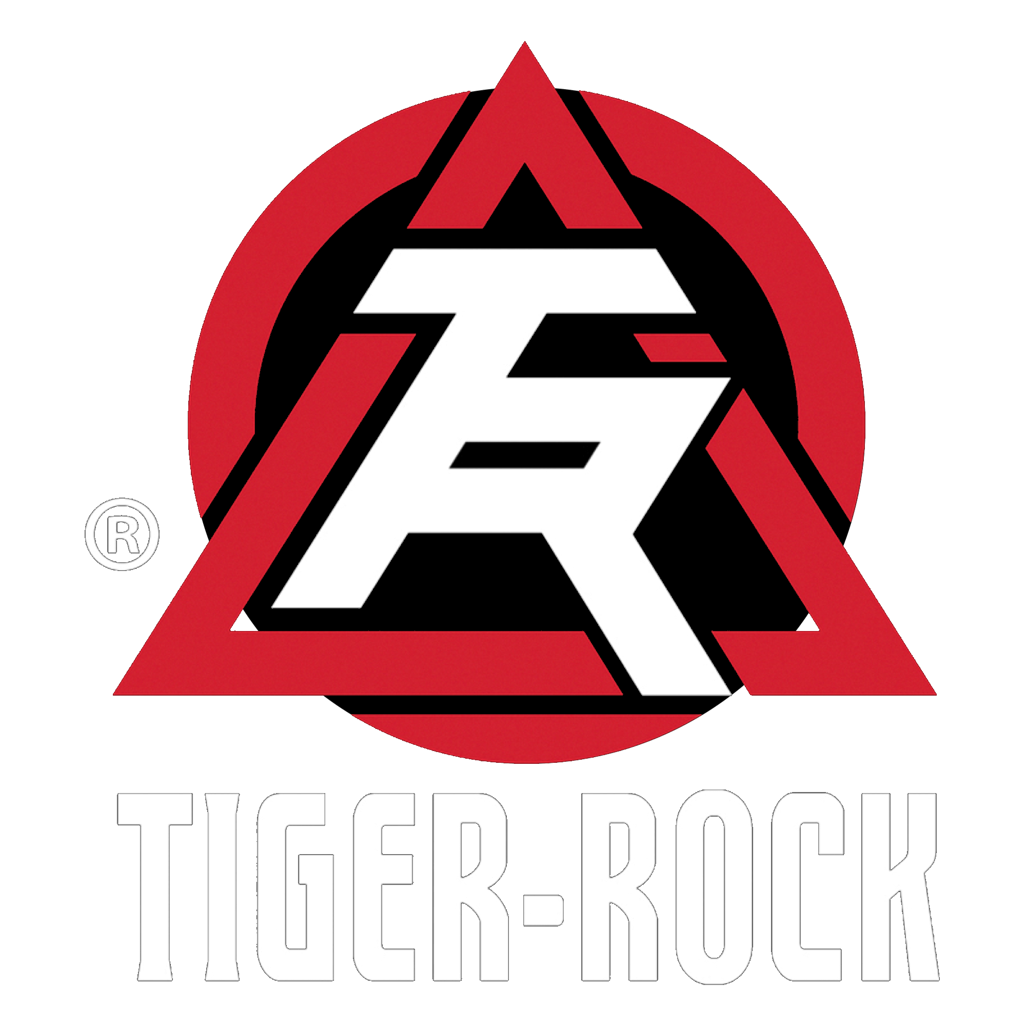 Tiger Rock Martial Arts | Kids, Teens, and Adult Martial Arts in ...